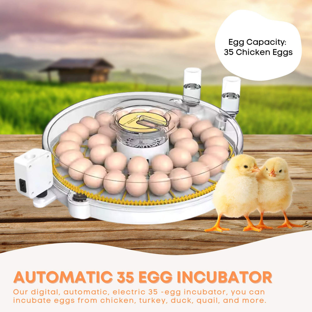 Egg Incubators – Rooster Farms